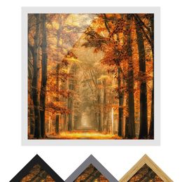 Wald Bild mit Rahmen M&auml;rchenwald im Herbst