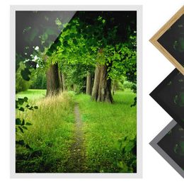 Wald Bild mit Rahmen Verborgene Lichtung