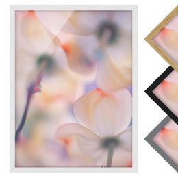 Blumen Bild mit Rahmen Unter Bl&uuml;ten