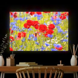 LED-Wechselbild Sommerwiese mit Mohn und Kornblumen