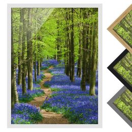 Wald Bild mit Rahmen Wanderweg in Hertfordshire