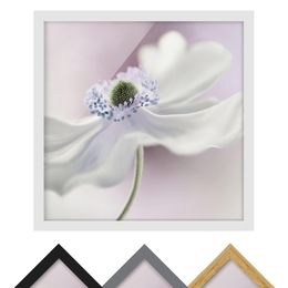 Blumen Bild mit Rahmen Anemonenbrise