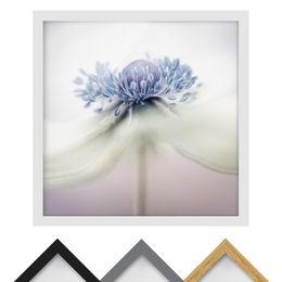 Blumen Bild mit Rahmen Anemone in Violett