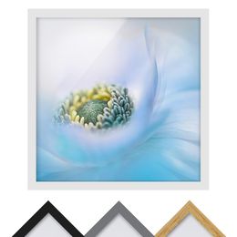 Blumen Bild mit Rahmen Anemone auf dem Fluss