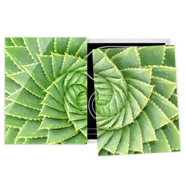 Spiral Aloe