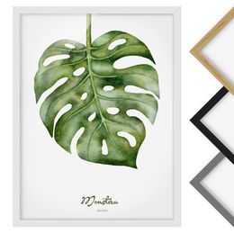 Blumen Bild mit Rahmen Aquarell Botanik Monstera