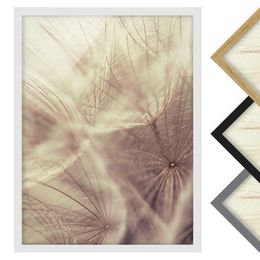 Blumen Bild mit Rahmen Detailreiche Pusteblumen Makroaufnahme mit Vintage Blur Effekt