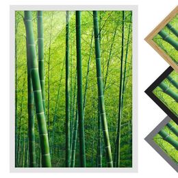 Natur & Landschaft Bild mit Rahmen Bambuswald