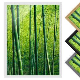 Natur & Landschaft Bild mit Rahmen Bambuswald