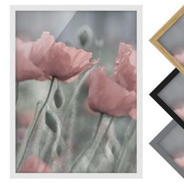 Blumen Bild mit Rahmen Malerische Mohnblumen