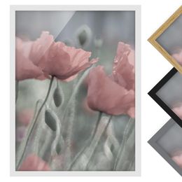 Blumen Bild mit Rahmen Malerische Mohnblumen