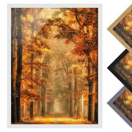 Wald Bild mit Rahmen M&auml;rchenwald im Herbst