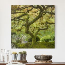 Leinwandbild Wald Gr&uuml;ner Japanischer Garten