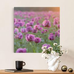 Leinwandbild Violette Schlafmohn Blumenwiese im Fr&uuml;hling - Wandbild bis XXL Print Blumen Floral Wohnzimmer Schlafzimmer Bad Badezimmer K&uuml;che Flur