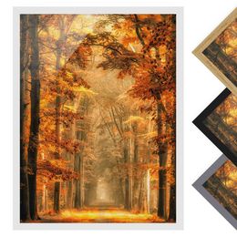Wald Bild mit Rahmen M&auml;rchenwald im Herbst