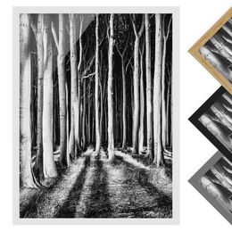 Wald Bild mit Rahmen Geisterwald