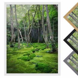 Wald Bild mit Rahmen Growing Trees