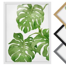 Blumen Bild mit Rahmen Monstera Aquarell