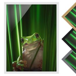 Kinderzimmer Bild mit Rahmen Fr&ouml;hlicher Frosch