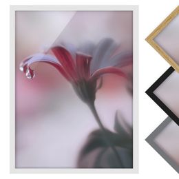 Blumen Bild mit Rahmen Invisible Touch