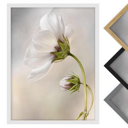 Blumen Bild mit Rahmen Himmlischer Bl&uuml;tentraum