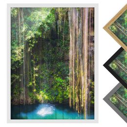 Wald Bild mit Rahmen H&auml;ngende Wurzeln von Ik-Kil Cenote