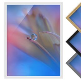 Blumen Bild mit Rahmen Touch Me Softly
