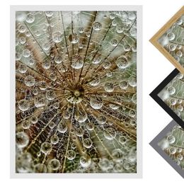 Blumen Bild mit Rahmen Pusteblume im Herbst