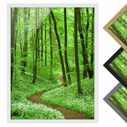 Wald Bild mit Rahmen Romantischer Waldweg