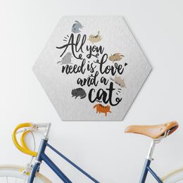 Hexagon-Alu-Dibond Bild All you need is love and a cat