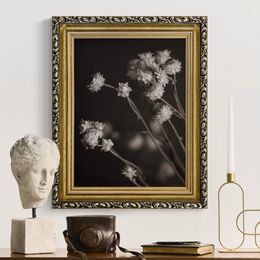 Bilderwelten Bild mit Barockrahmen Antik Blumen Tropisch Barock schwarz weiss - G&auml;nsebl&uuml;mchen Studie - Pflanzen Wohnzimmer Schlafzimmer