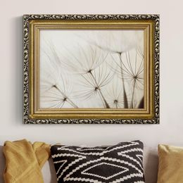 Bilderwelten Bild mit Barockrahmen Antik Tropisch Barock weiss - Sanfte Gr&auml;ser - Gr&auml;ser Wohnzimmer Schlafzimmer