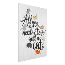 Alu-Dibond Spr&uuml;che All you need is love and a cat