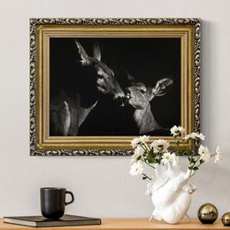 Bilderwelten Bild mit Barockrahmen Antik Tiere modern Barock schwarz - Rehe vor Schwarz - edle Optik Wohnzimmer Schlafzimmer