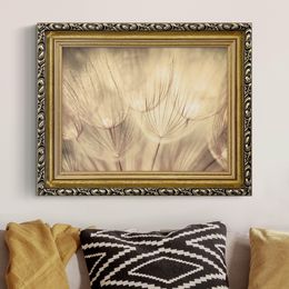 Bilderwelten Bild mit Barockrahmen Antik Blumen Motiv Barock beige - Pusteblumen Nahaufnahme in wohnlicher Sepia T&ouml;nung - Pusteblume Wohnzimmer Schlafzimmer