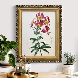 Bilderwelten Bild mit Barockrahmen Antik Blumen Vintage Barock pink - Pierre Joseph Redout&eacute; - T&uuml;rkenbundlilie - Retro Wohnzimmer Schlafzimmer