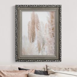 Bilderwelten Bild mit Barockrahmen Antik Tropisch Barock beige - Pampasgras im Wei&szlig;en Licht - Gr&auml;ser Wohnzimmer Schlafzimmer