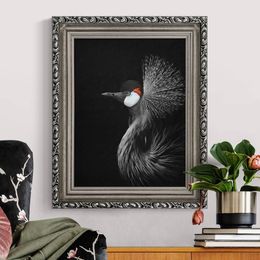Bilderwelten Bild mit Barockrahmen Antik Tiere Motiv Barock schwarz - Schwarzer Kronenkranich - V&ouml;gel Wohnzimmer Schlafzimmer
