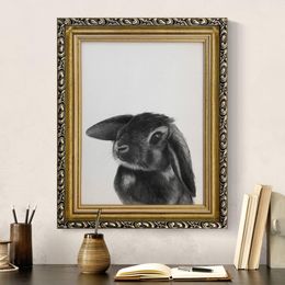 Bilderwelten Bild mit Barockrahmen Antik Tiere modern Aquarell schwarz weiss - Illustration Hase Schwarz Wei&szlig; Zeichnung - edle Optik Jugendzimmer