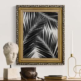 Bilderwelten Leinwandbild mit Barockrahmen Blick durch Palmenbl&auml;tter schwarz wei&szlig;