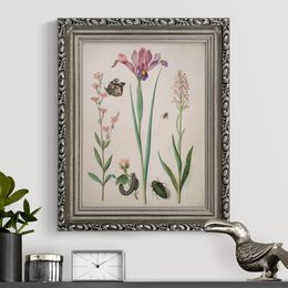 Bilderwelten Bild mit Barockrahmen Antik Blumen Vintage Barock gr&uuml;n - Anna Maria Sibylla Merian - Pechnelke und Rose - Rose Wohnzimmer Schlafzimmer