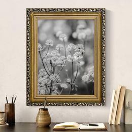 Bilderwelten Bild mit Barockrahmen Antik Blumen Motiv Barock schwarz weiss - Federleichte Wildblumen II - edle Optik Wohnzimmer Schlafzimmer