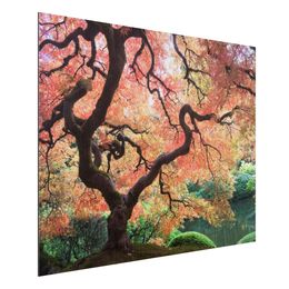 Alu-Dibond Natur & Landschaft Japanischer Garten