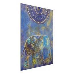Alu-Dibond Tiere Elephant in Marrakech