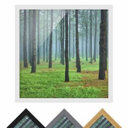 Wald Bild mit Rahmen Tiefer Wald mit Kiefern auf La Palma