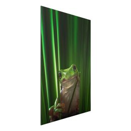 Alu-Dibond Tiere Fr&ouml;hlicher Frosch