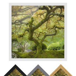 Wald Bild mit Rahmen Gr&uuml;ner Japanischer Garten