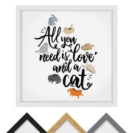 Spruch Bild mit Rahmen All you need is love and a cat