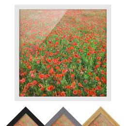 Blumen Bild mit Rahmen Mohnblumenfeld