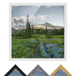 Natur & Landschaft Bild mit Rahmen Bergblick Wiesenpfad